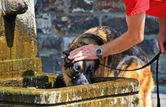 Inside Graz - Aktuelle News aus der steirischen Landeshauptstadt