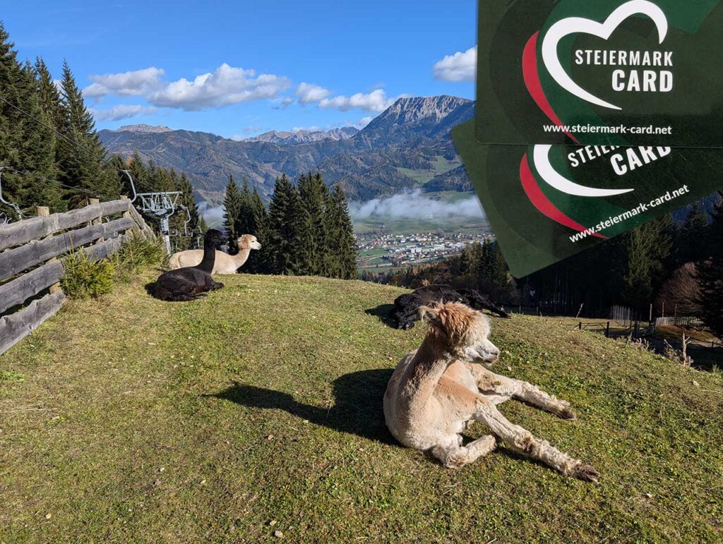 Steiermark Card 2025 für Familien: Lohnt sie sich wirklich?